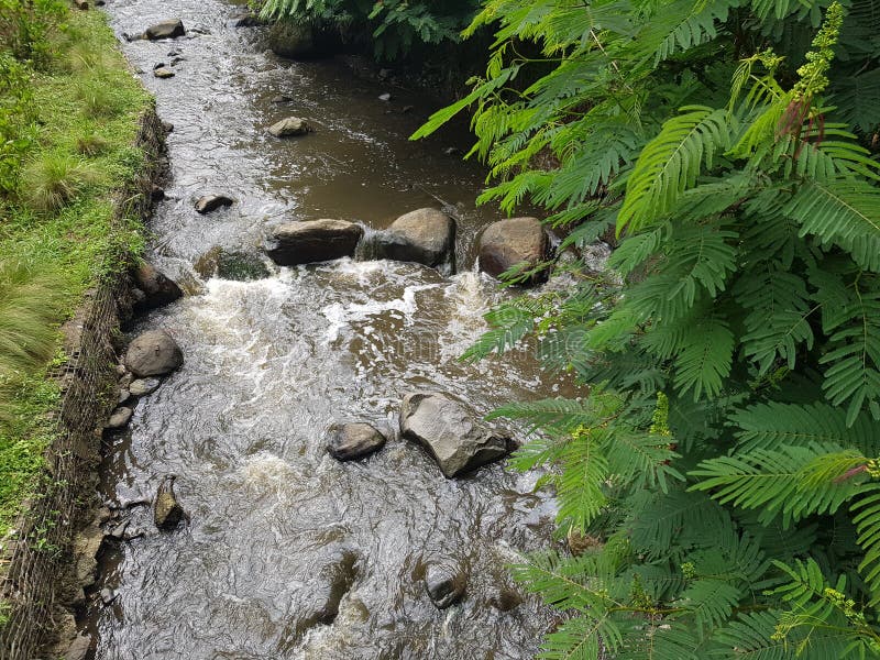 A River with a Strong Current Stock Photo - Image of pond, stream ...