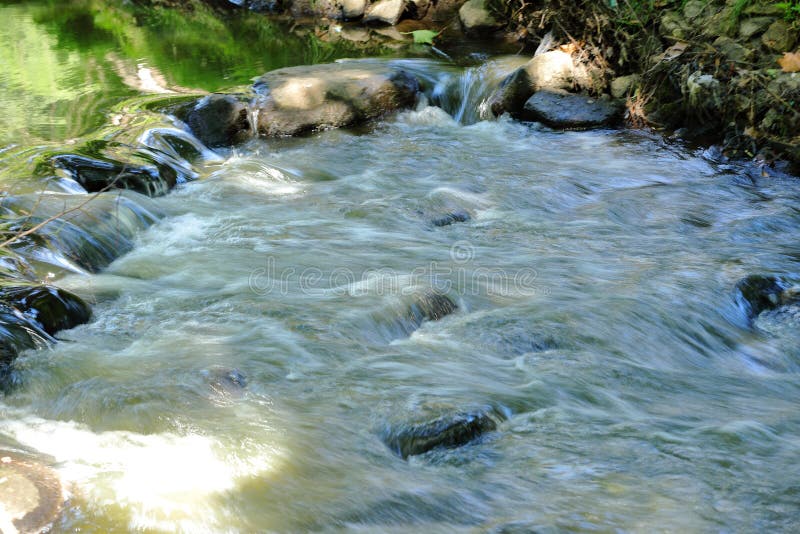 A River in a Suburban Forest Stock Image - Image of coast, watercourse ...