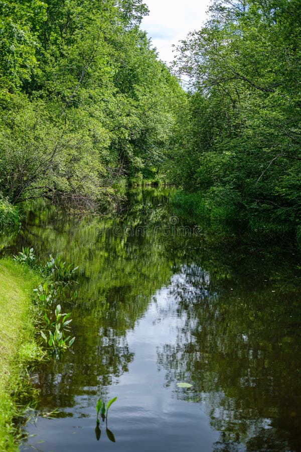 River in Summer Green Shores with Tree Reflections in Water Stock Photo ...