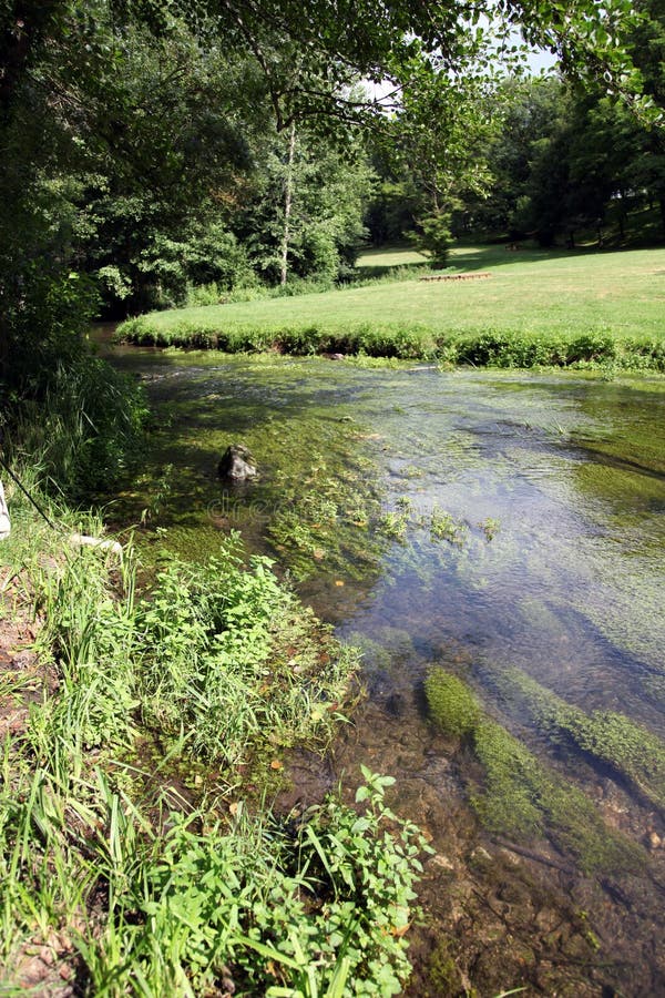River in summer season stock image. Image of stream, green - 15453925