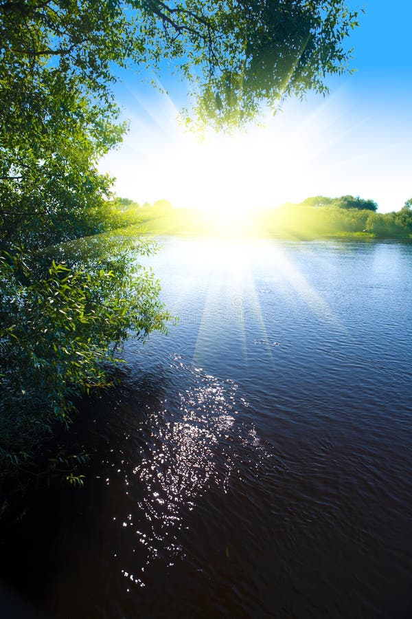 River and sun stock image. Image of shiny, forest, green - 17359599