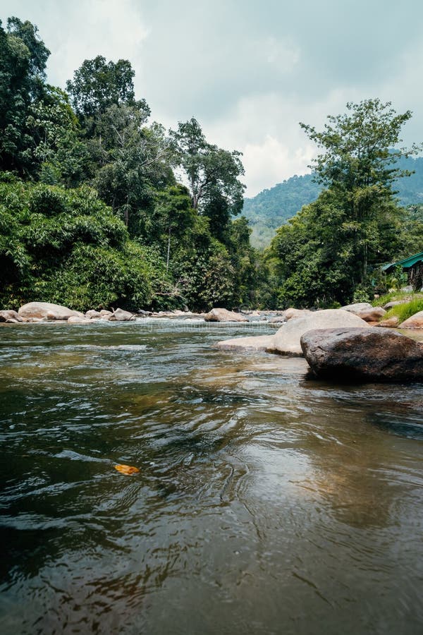 River at Sungai Kampar, Gopeng, Perak Stock Photo - Image of summer ...