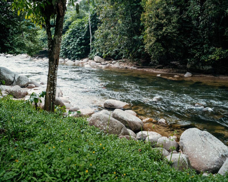 River at Sungai Kampar, Gopeng, Perak Stock Image - Image of water ...