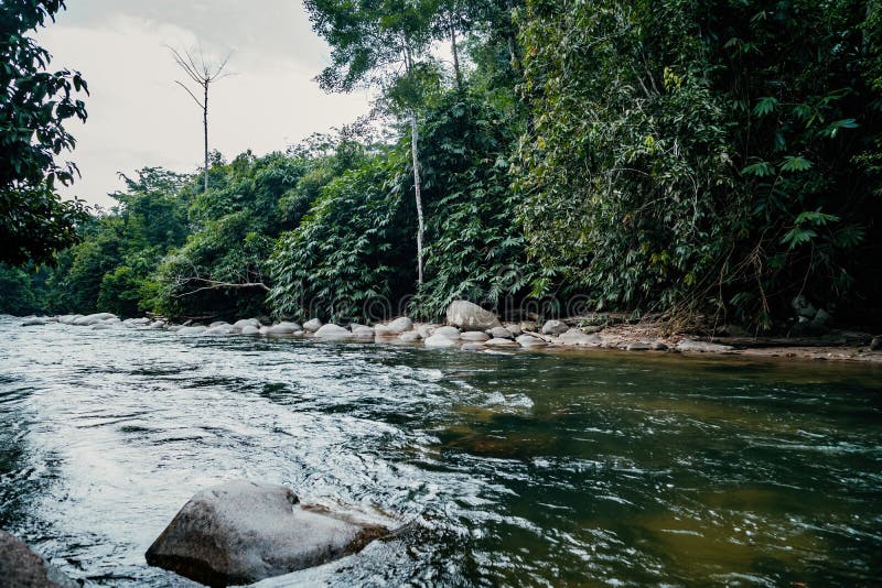 River at Sungai Kampar, Gopeng, Perak Stock Image - Image of river ...