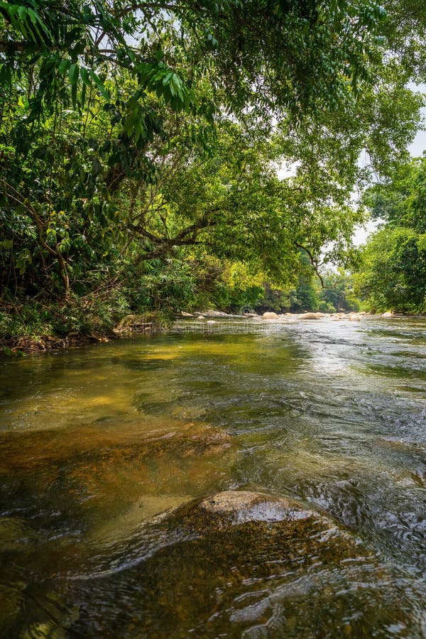 River at Sungai Kampar, Gopeng, Perak Stock Image - Image of national ...