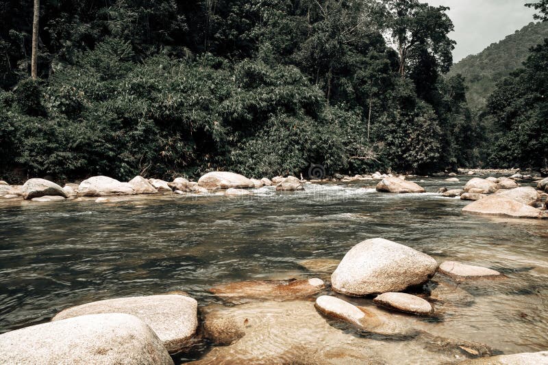 River at Sungai Kampar, Gopeng, Perak Stock Image - Image of rainforest ...