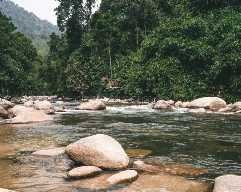 River at Sungai Kampar, Gopeng, Perak Stock Photo - Image of jungle ...