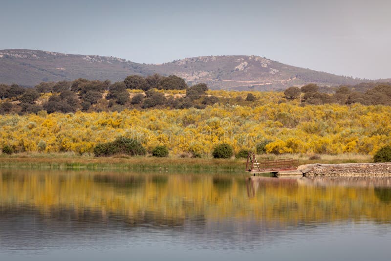 River in a sunny day stock image. Image of morning, scene - 151606327