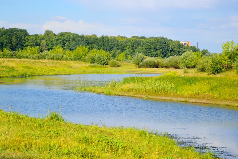 River at sunny day. stock image. Image of bush, europe - 67264791