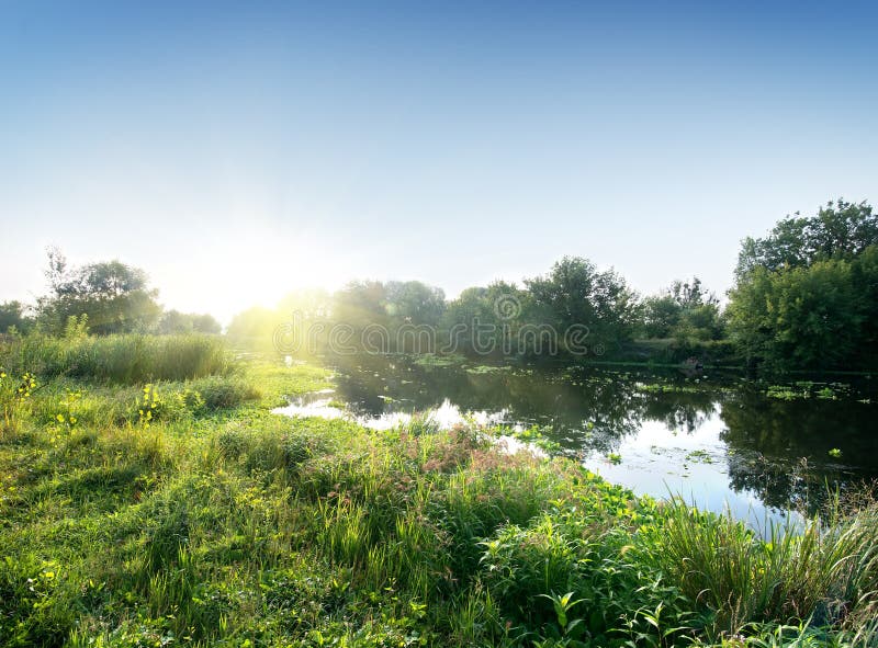 River in sunny morning stock photo. Image of green, meadow - 33838328