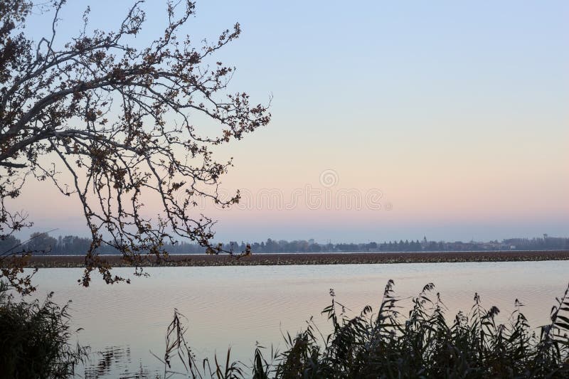 River at Sunset with a Shore that Stretches on the Horizon Framed by a ...