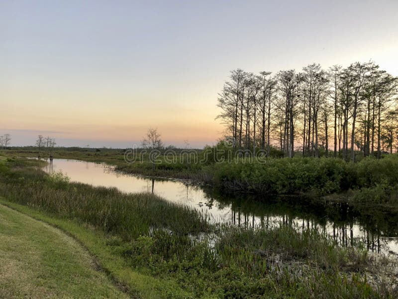 River at Sunset in the Swamp Stock Image - Image of countryside, river ...