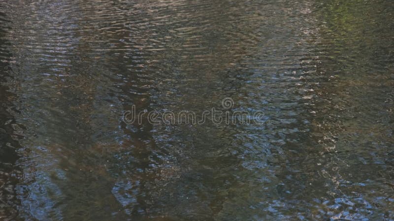 River Surface. Water Surface with Slight Ripples Stock Video - Video of ...