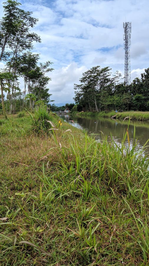 River Surrounded by Trees and Green Grass Shot from Afar Stock Photo ...
