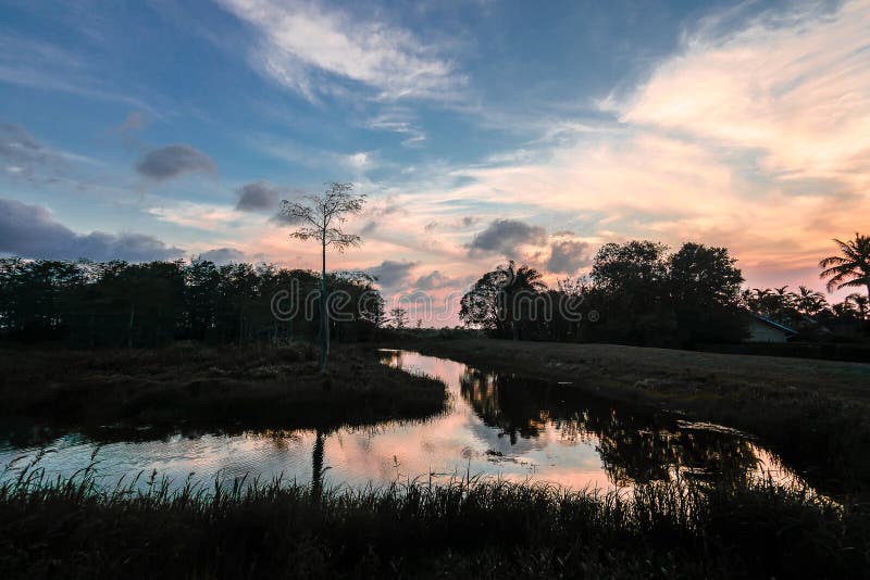 River in the Swamp at Sunset Stock Photo - Image of marsh, moon: 101965506