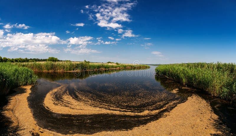 River with a Swamp in the Village on a Sunny Day Stock Image - Image of ...