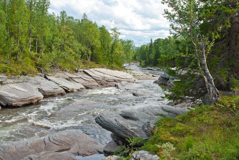 Grayling from Sweden 50 cm stock image. Image of trout - 29577459