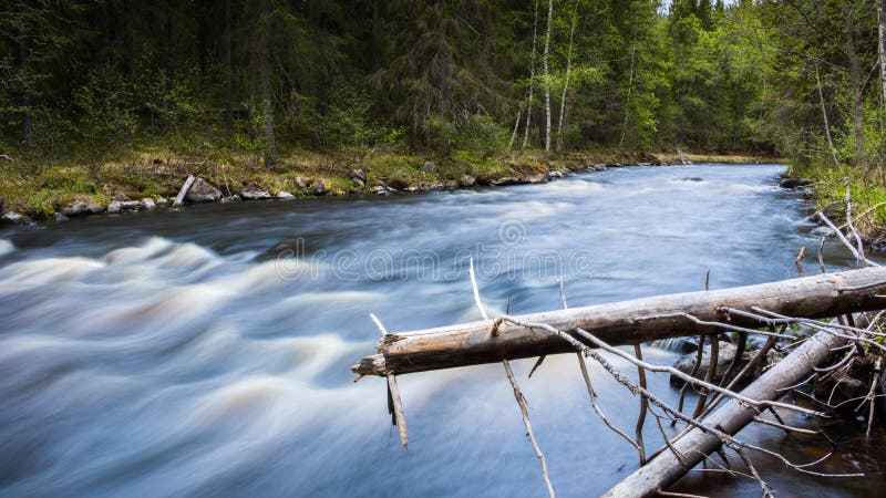 River in Sweden stock photo. Image of surr, northern - 93856306