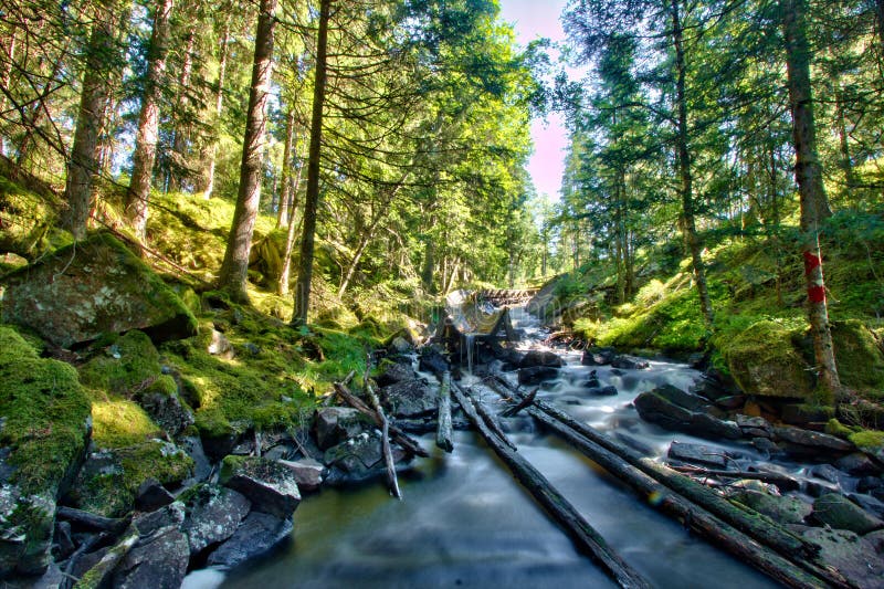 A River in the Swedish Woods Stock Photo - Image of swedish, logs: 76708410