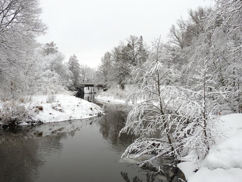 River and Snowy Trees in Winter, Lithuania Stock Photo - Image of ...