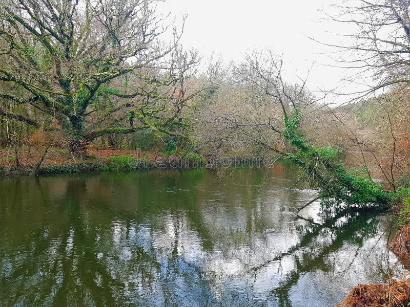 River Tavy, Tamar Valleys , Devon Stock Image - Image of wailking ...