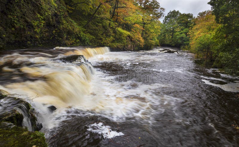 The River Tawe in Full Flow Stock Photo - Image of water, long: 199558726