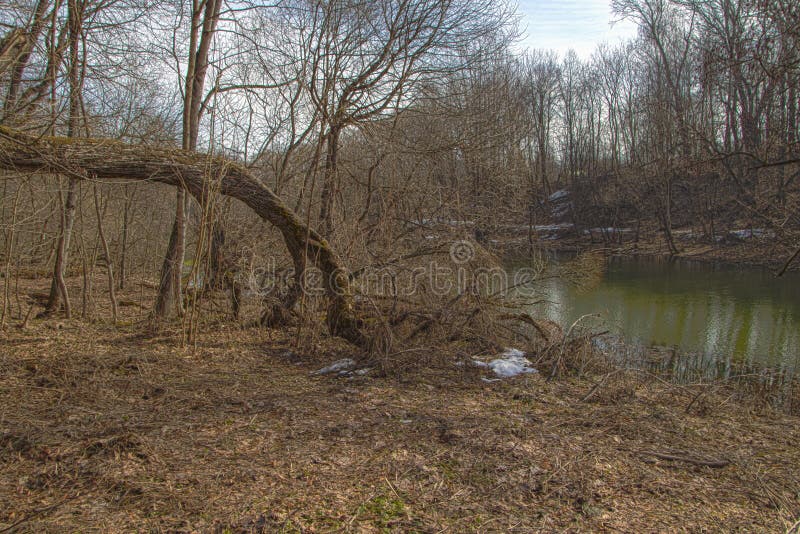 Techa River Stock Photos - Free & Royalty-Free Stock Photos from Dreamstime