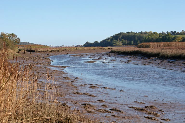 River Teign stock image. Image of teign, devon, tranquil - 18159419