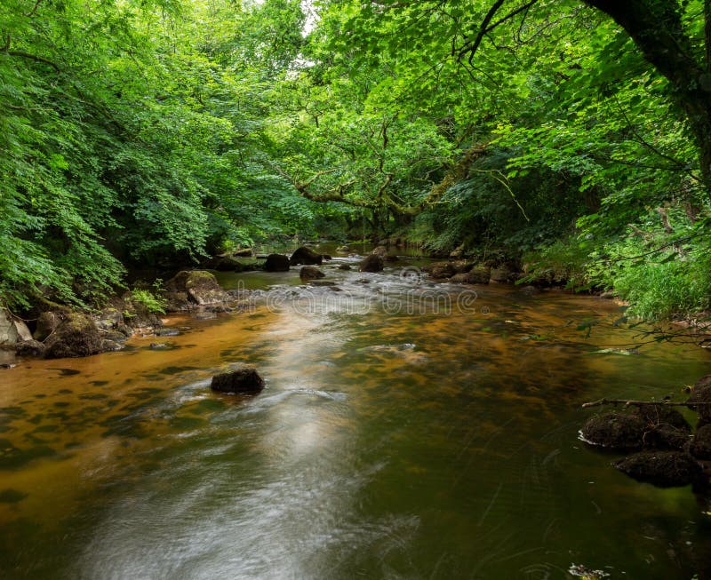 River Teign stock photo. Image of brook, trees, rocks - 32180160
