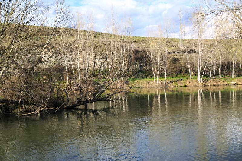River Ter stock image. Image of catalonia, landscape - 30180039