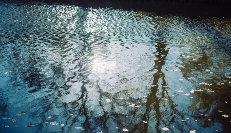 River Texture. Beautiful Composition of Nature. in the Blue Water the ...