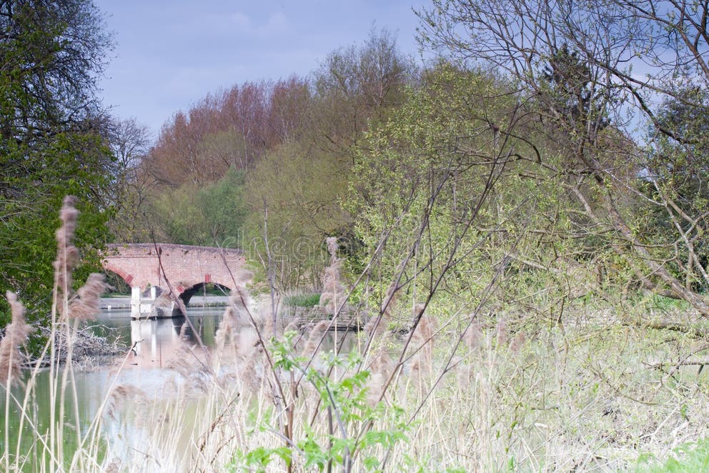 River Thames stock image. Image of landscape, lily, england - 48455499