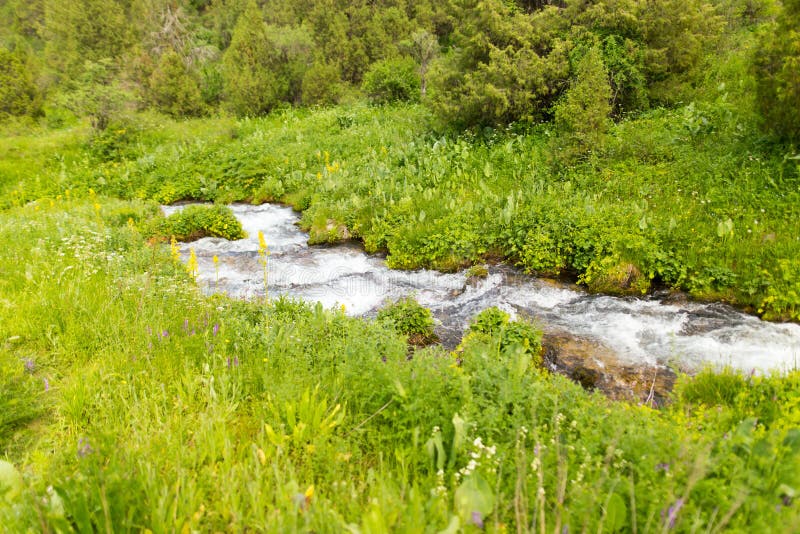 River in the Tian Shan Mountains in the Spring Stock Photo - Image of ...