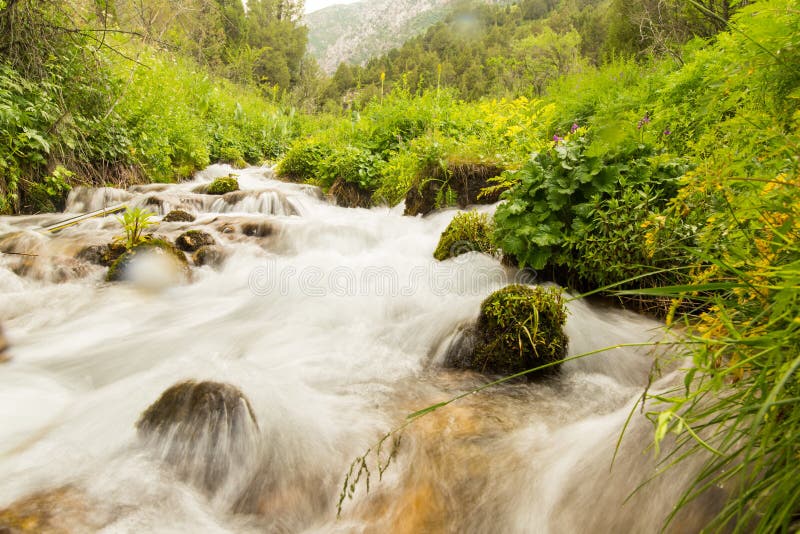 River in the Tian Shan Mountains in the Spring Stock Image - Image of ...