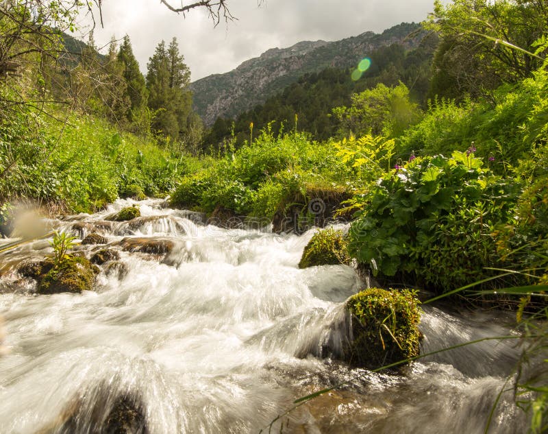 River in the Tian Shan Mountains in the Spring Stock Photo - Image of ...