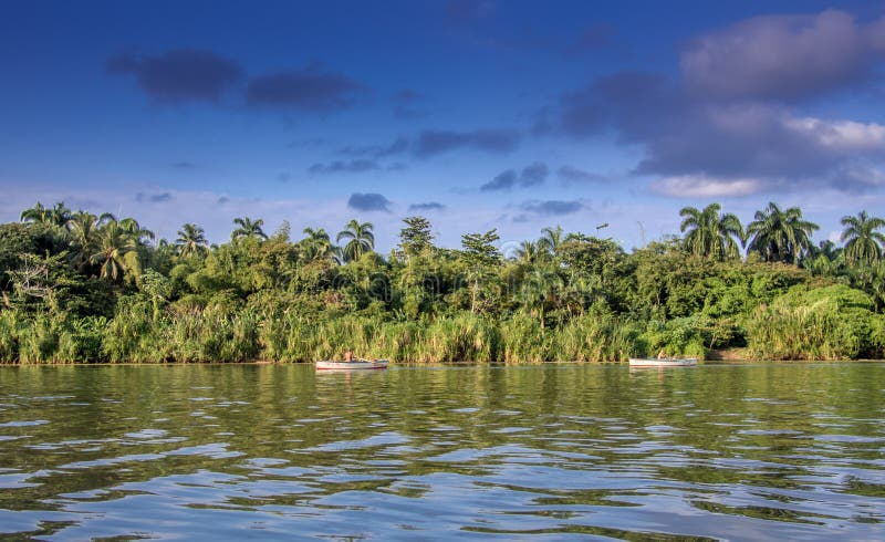 River Toa Near Baracoa Cuba Stock Image - Image of baracoa, trees: 59224713