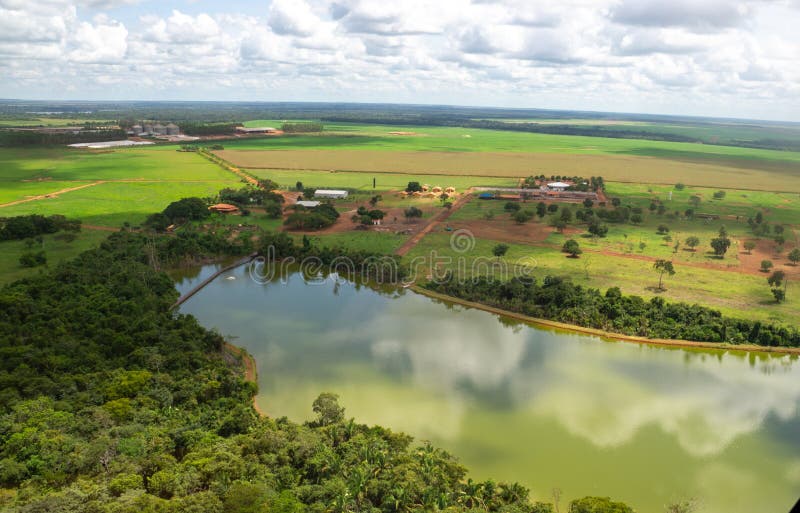 River in the Tocantins State, Brazil Stock Image - Image of pastures ...