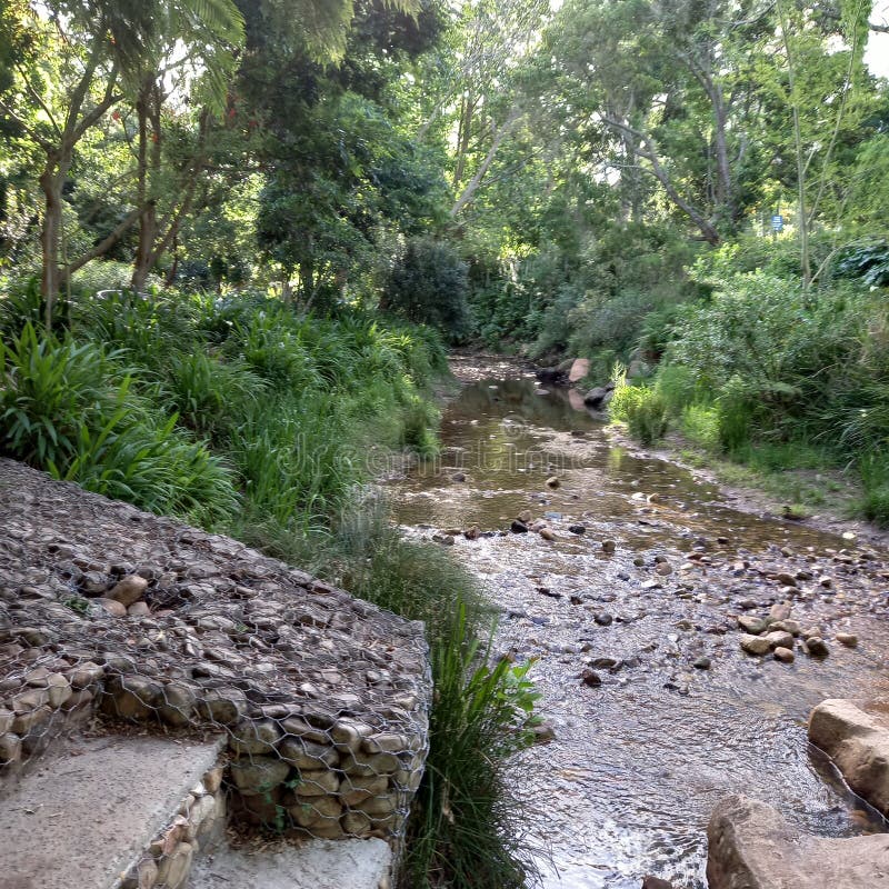 River Trail in Cape Town stock image. Image of ruins - 234604503