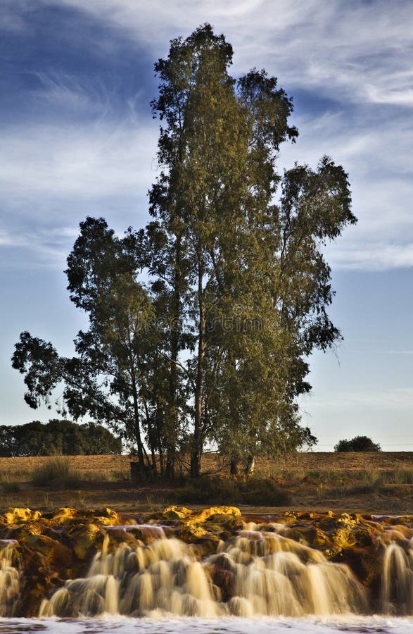 River and tree stock image. Image of spring, stemmed - 13300459