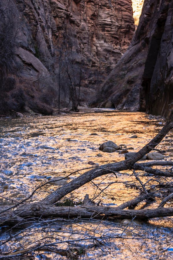 A River with a Tree Branch in it Stock Photo - Image of mountain ...