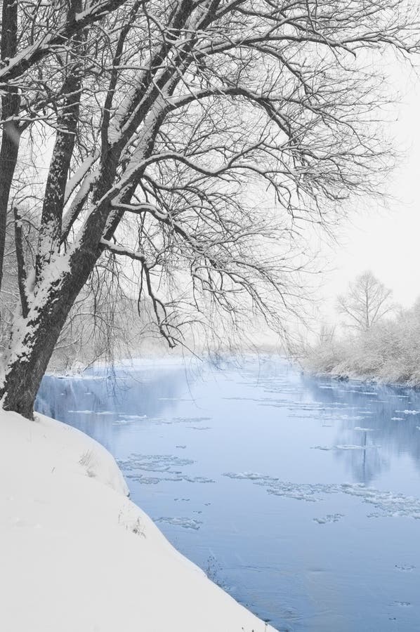River and tree stock image. Image of frost, covered, river - 32894413