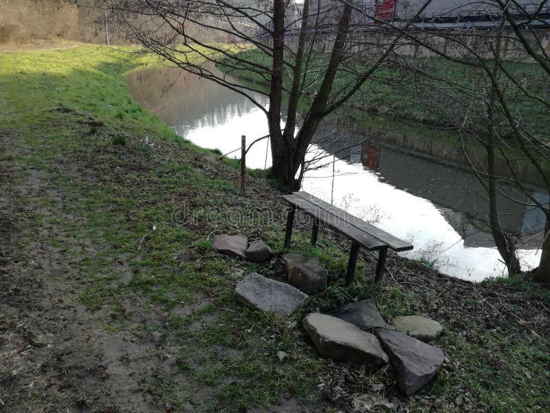 River, trees and bench stock photo. Image of trees, bench - 142282248