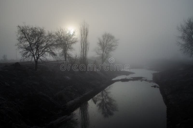 A River and Trees in the Fog Stock Photo - Image of foliage, landscape ...