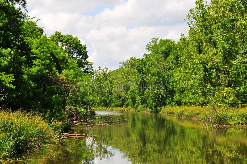 River and Trees at Horton Slough Stock Photo - Image of vegetation ...