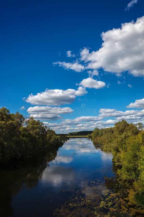 River, Trees, Meadow Against a Blue Sky with White Clouds Stock Photo ...