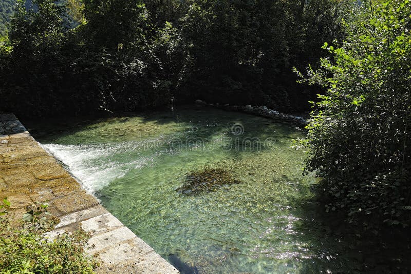 A river among the trees stock image. Image of wild, fresh - 209007057