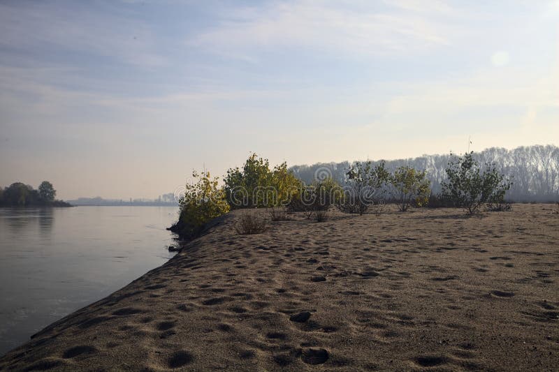 River with Trees Reflected in the Water Seen from the Distance on a ...