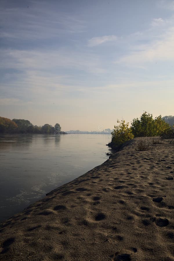 River with Trees Reflected in the Water Seen from the Distance on a ...