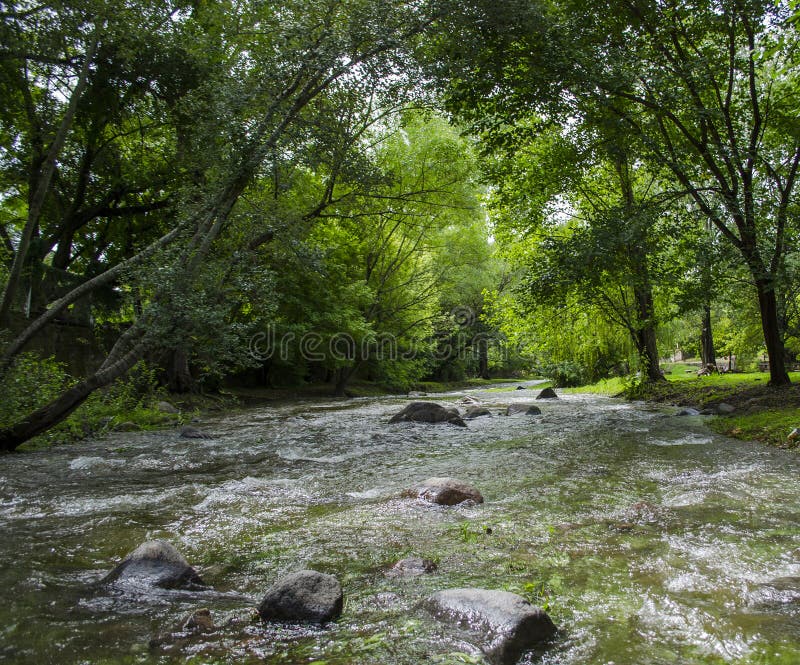 River and trees stock image. Image of grass, high, background - 50097457