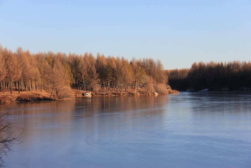 River and.trees stock photo. Image of trees, nature - 246875382